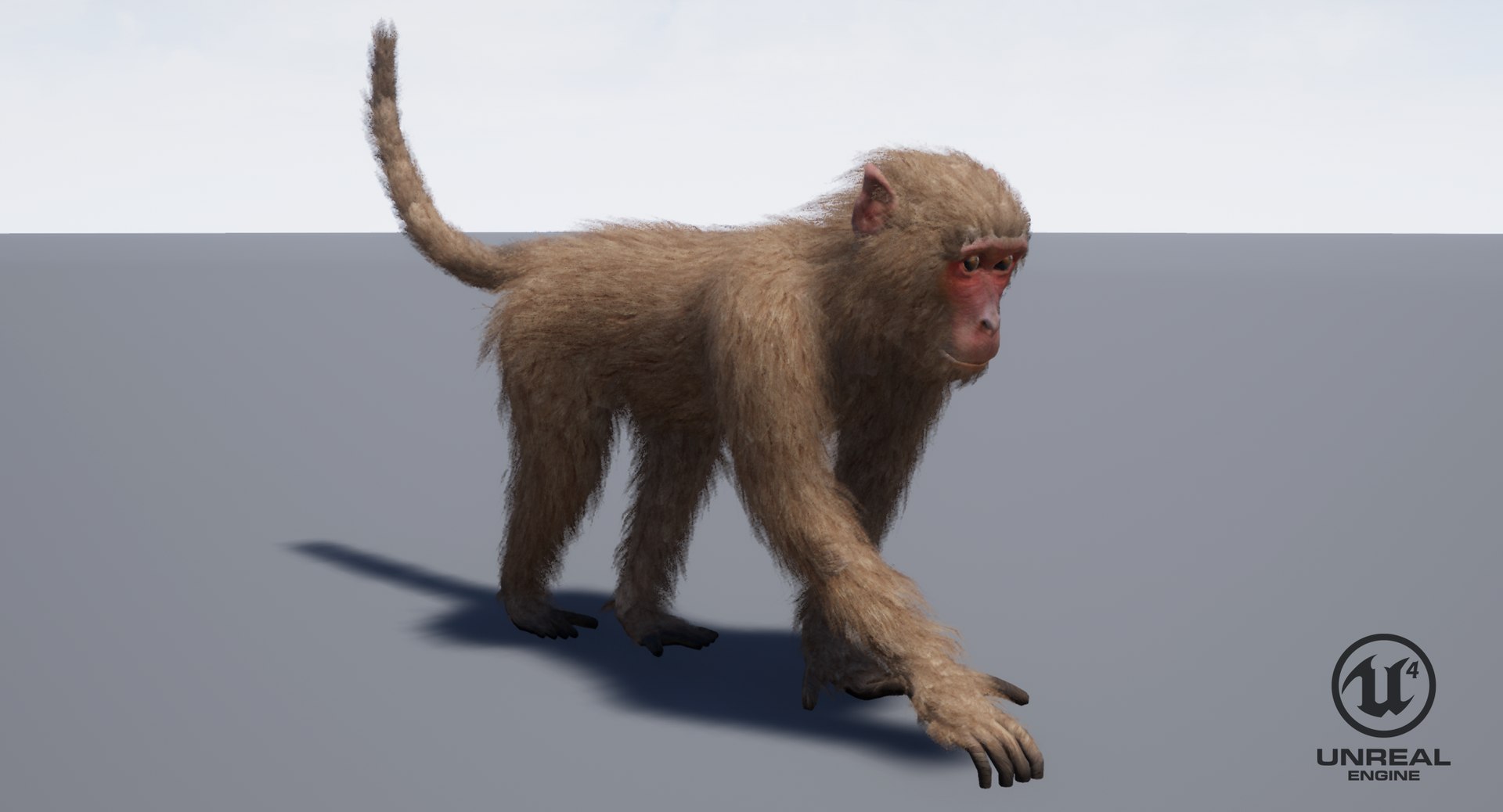 3D Monkey Animations - TurboSquid 1384680