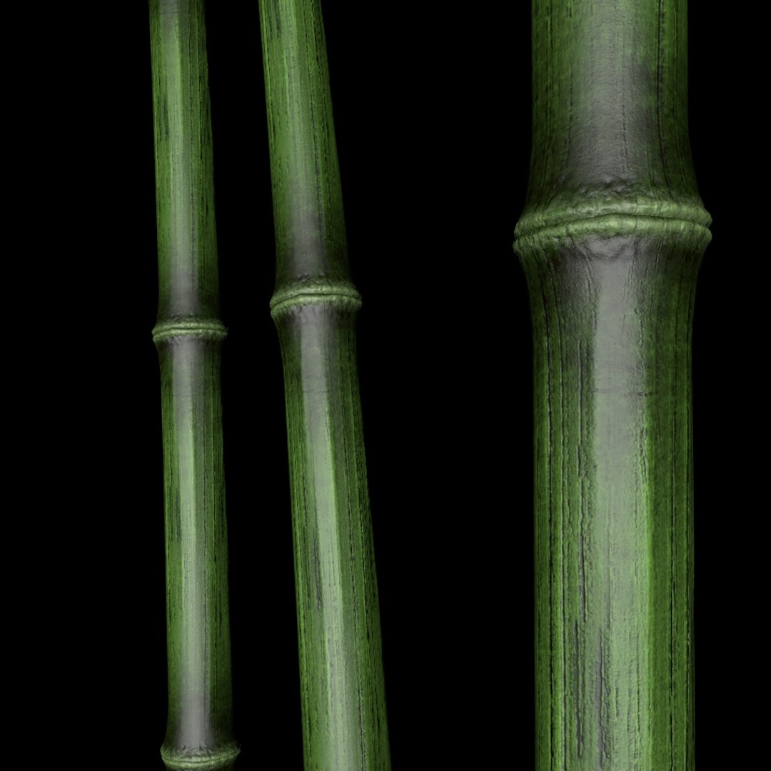 3d Model Bamboo