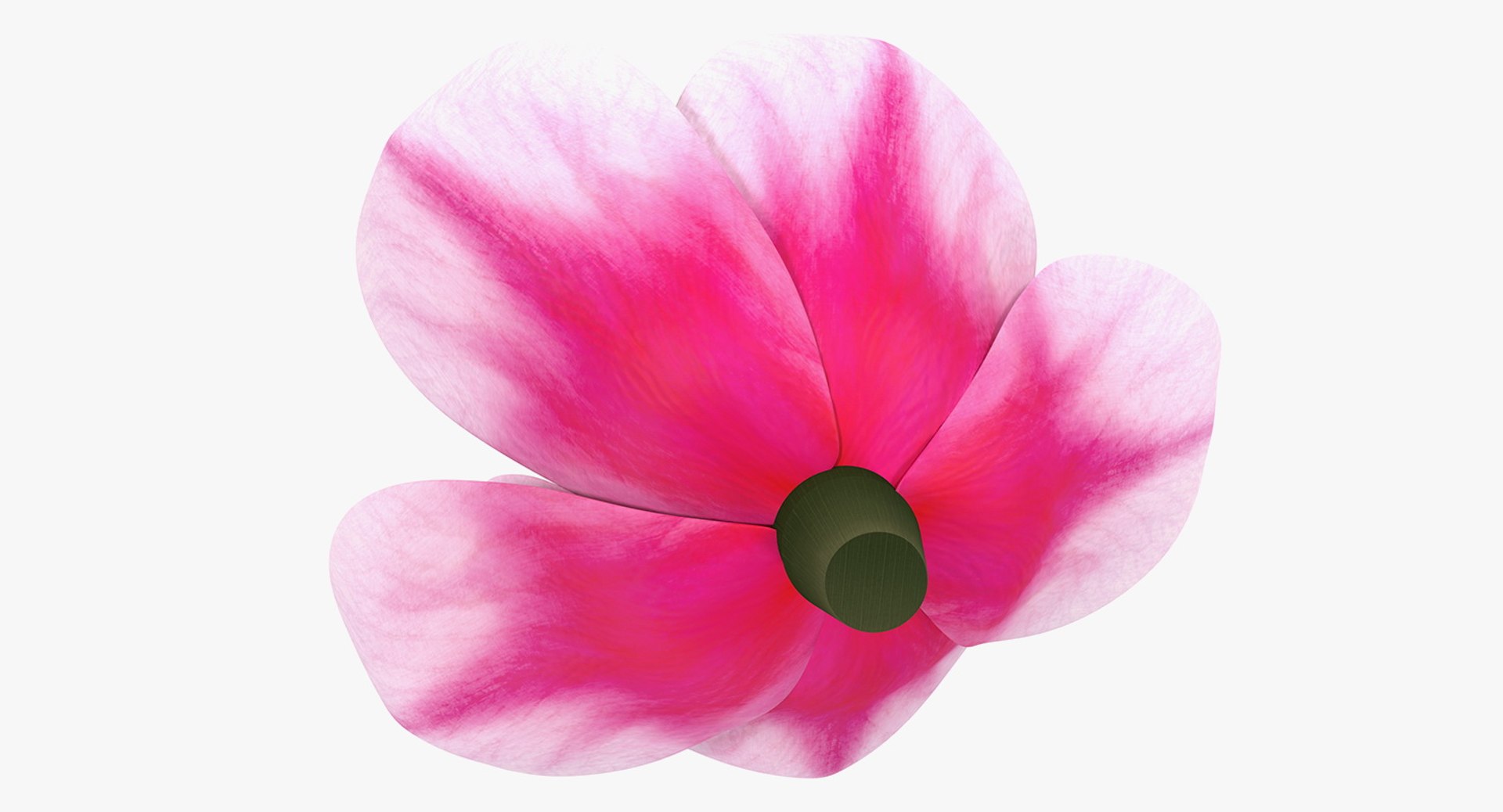 Magnolia flower plant 3D model - TurboSquid 1410140