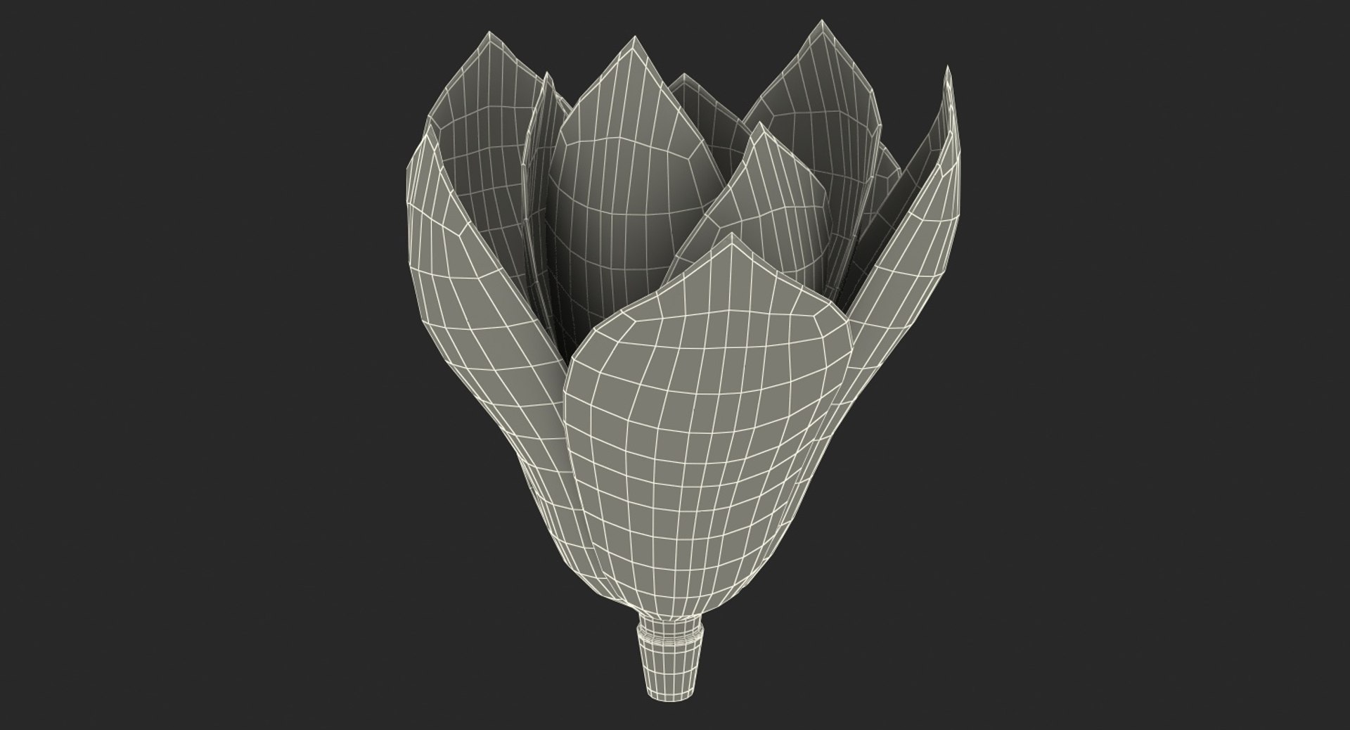 Magnolia flower plant 3D model - TurboSquid 1410140
