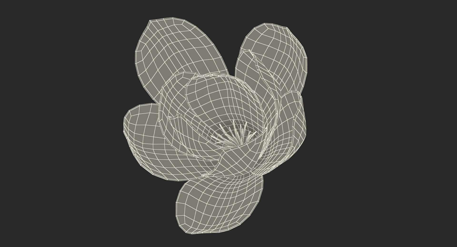 Magnolia Flower Plant 3D Model - TurboSquid 1410140