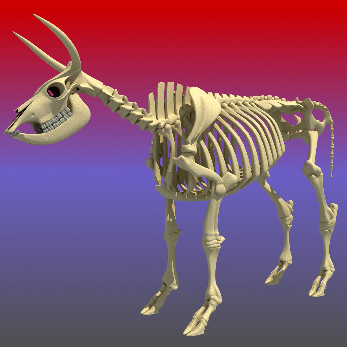 cow skeleton 3d max