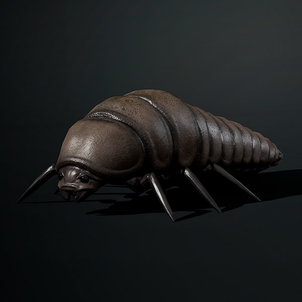 3D Larvae Models | TurboSquid
