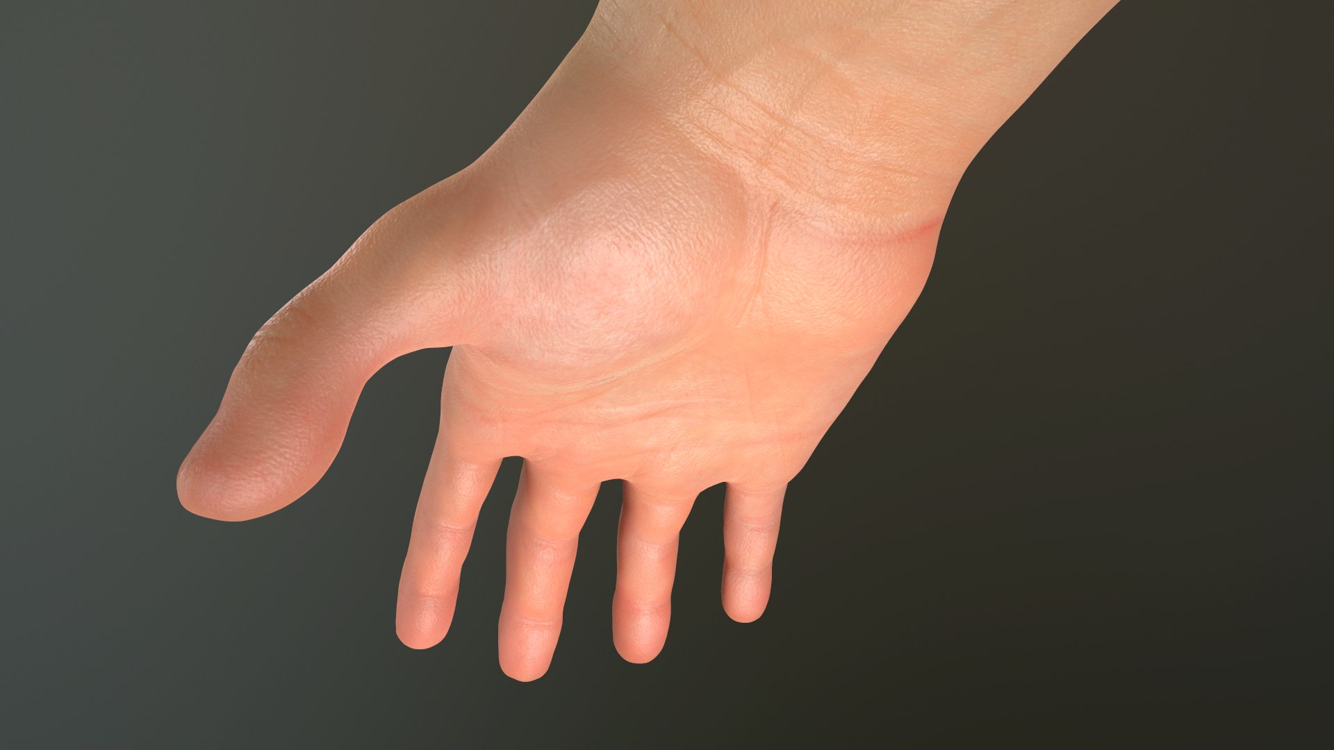 Free male hand rigged 3D model - TurboSquid 1178206