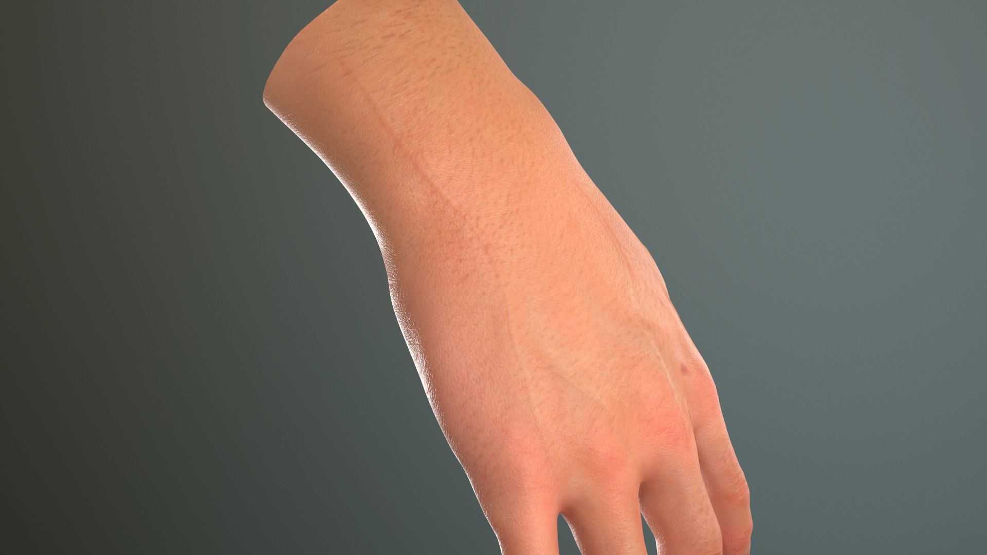 Free Male Hand Rigged 3D Model - TurboSquid 1178206
