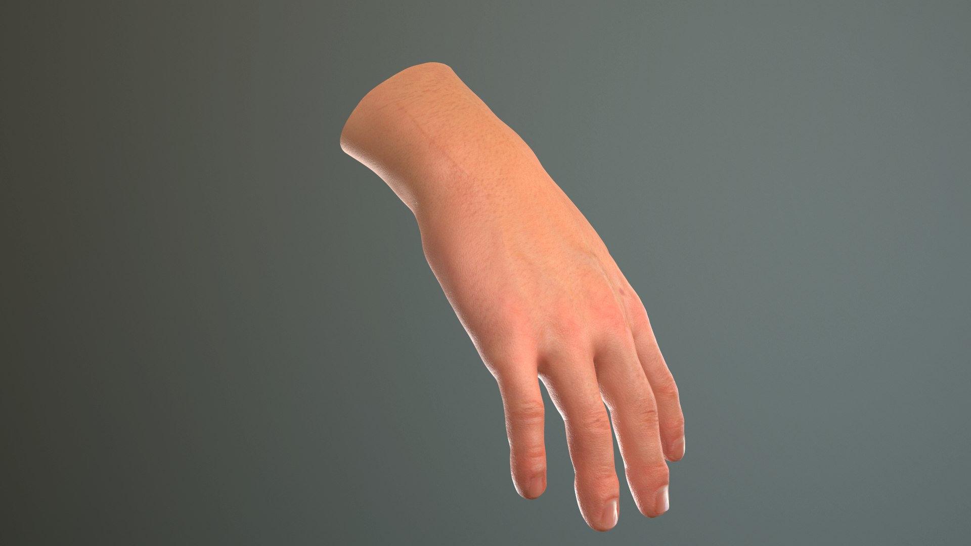 Free Male Hand Rigged 3D Model - TurboSquid 1178206