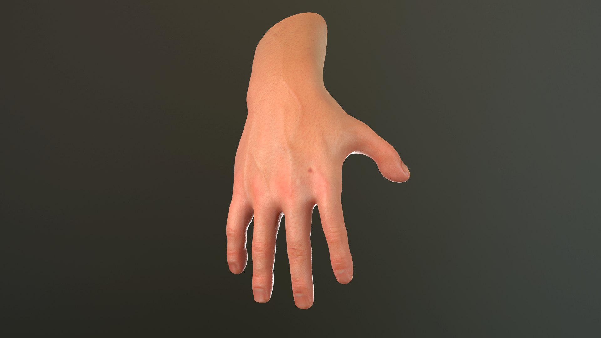 Free Male Hand Rigged 3D Model - TurboSquid 1178206
