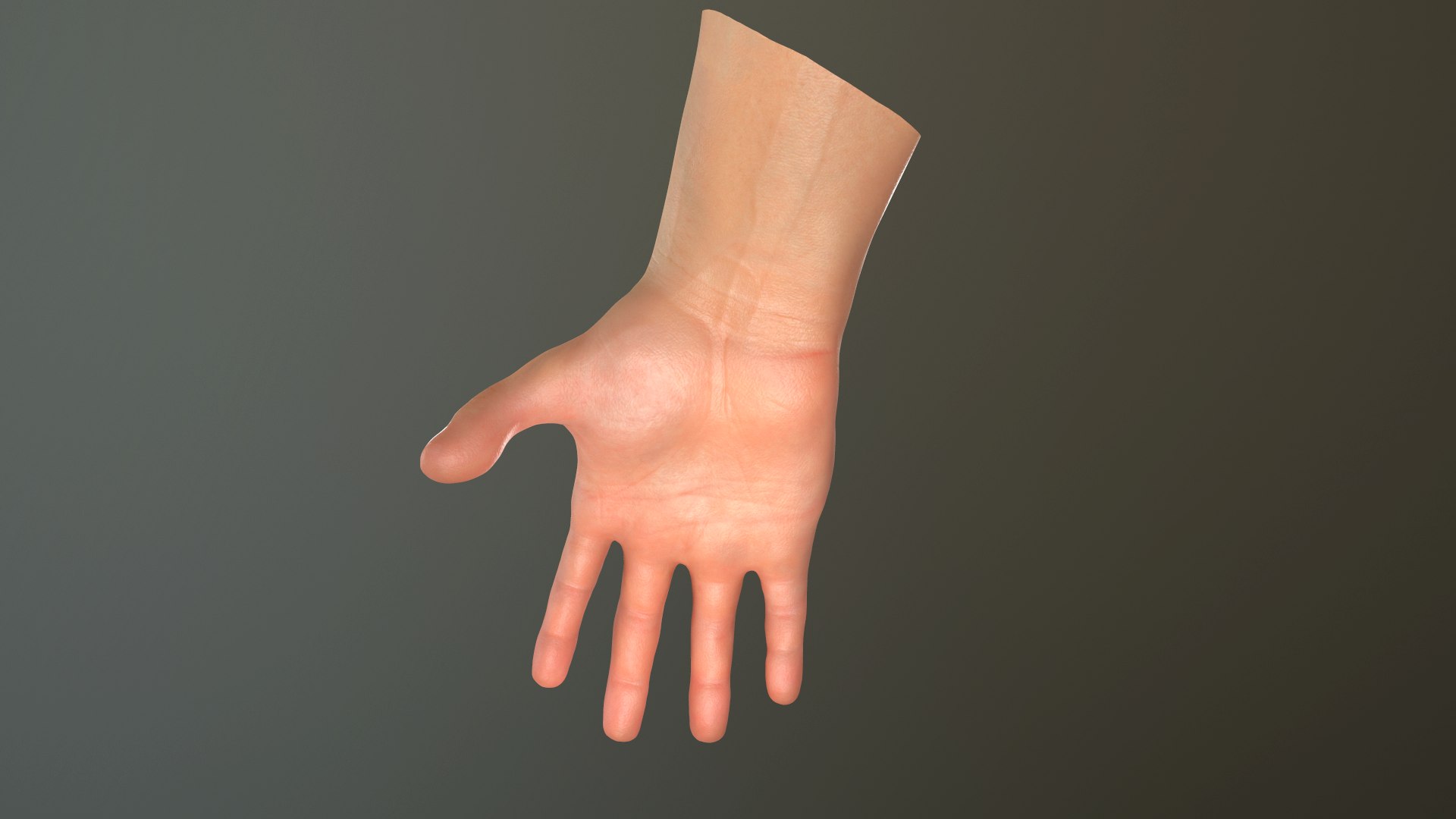 Free Male Hand Rigged 3D Model - TurboSquid 1178206