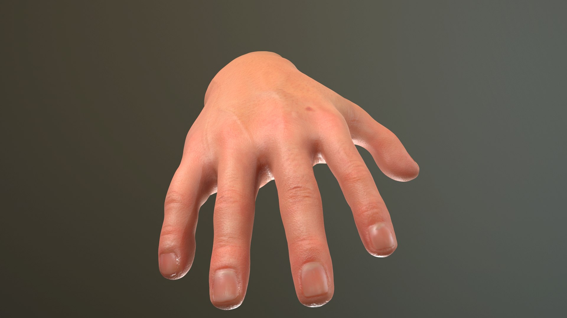Free male hand rigged 3D model - TurboSquid 1178206