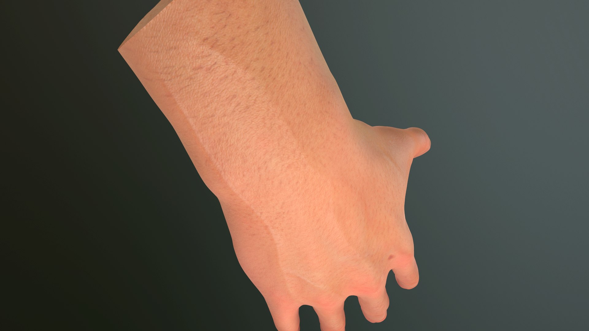 Free Male Hand Rigged 3D Model - TurboSquid 1178206