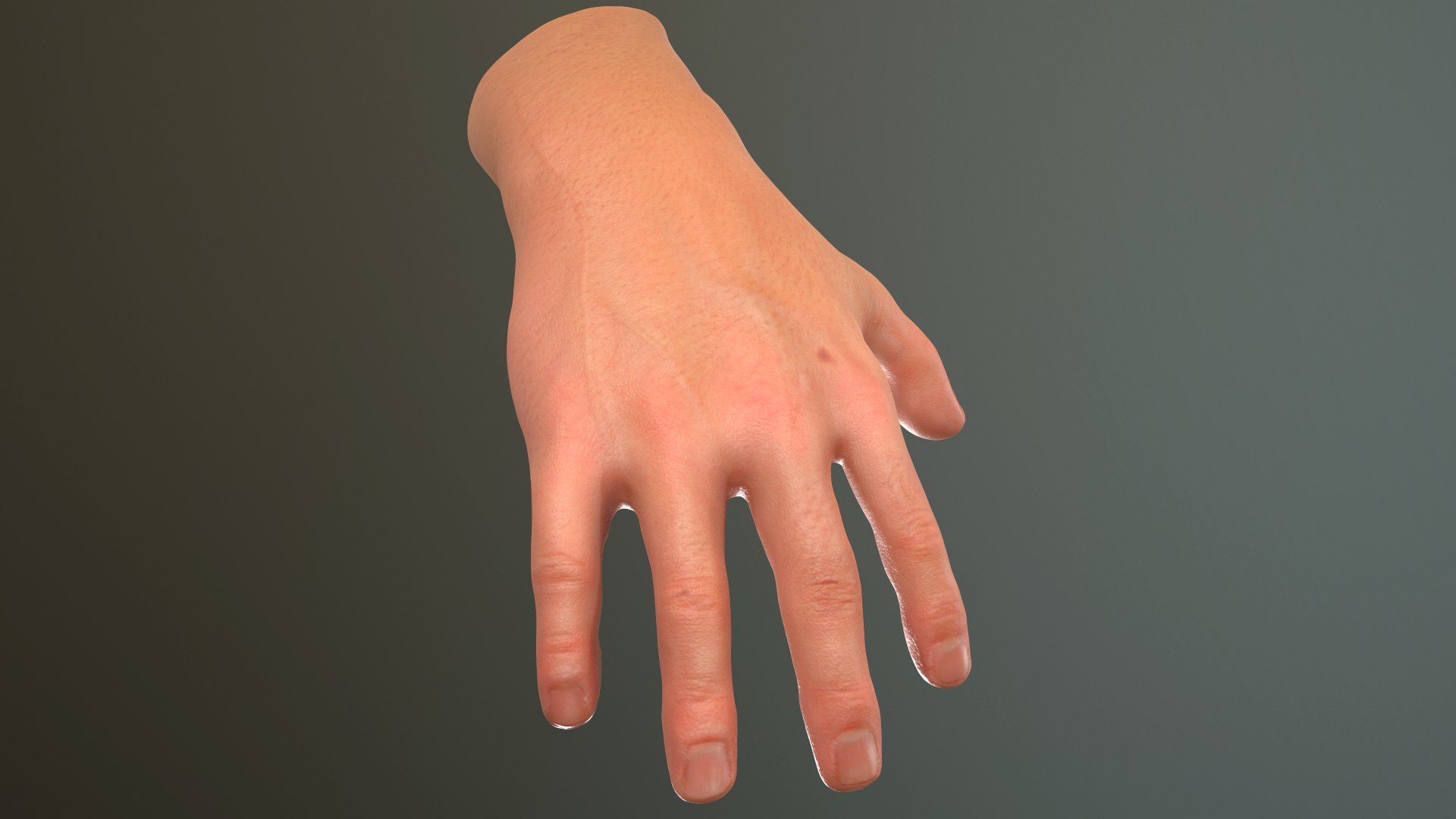 Free male hand rigged 3D model - TurboSquid 1178206