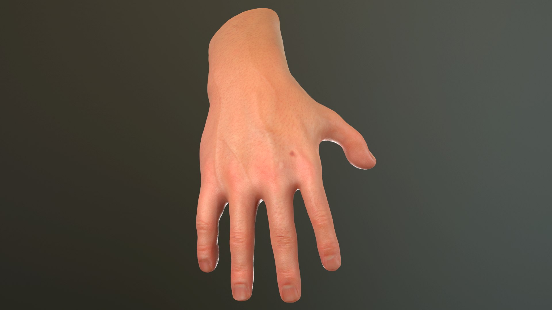 Free male hand rigged 3D model - TurboSquid 1178206
