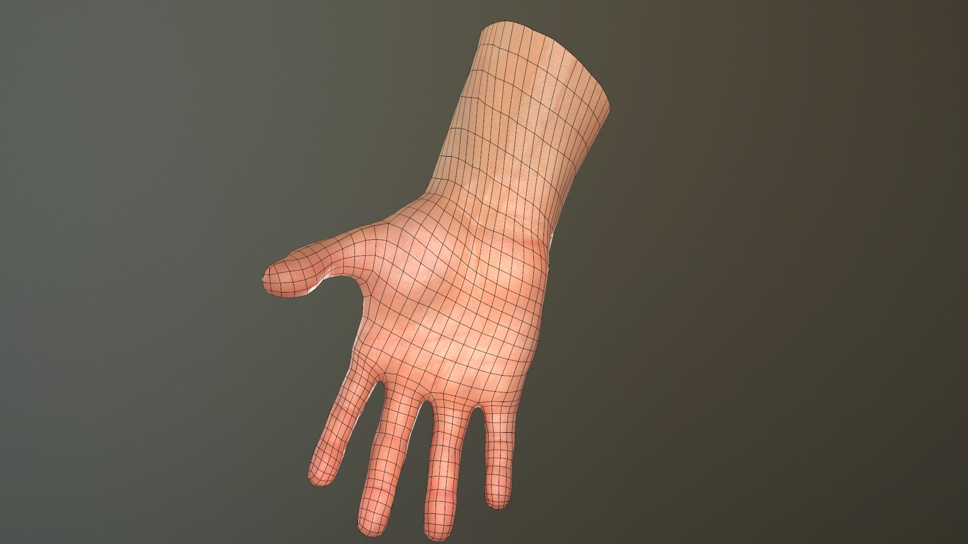 Free Male Hand Rigged 3D Model - TurboSquid 1178206