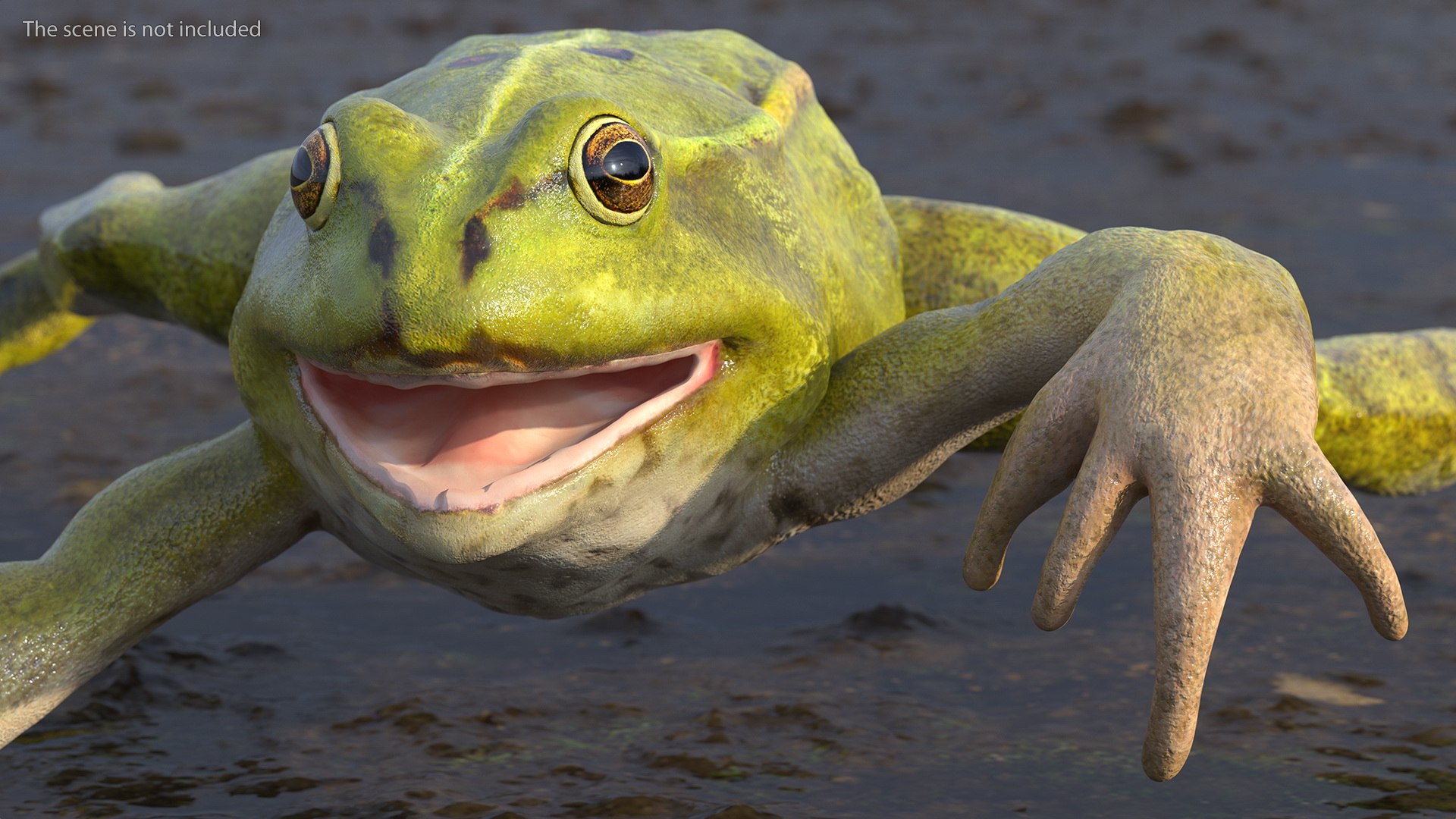 Froglet Rigged for Maya 3D model - TurboSquid 1717395
