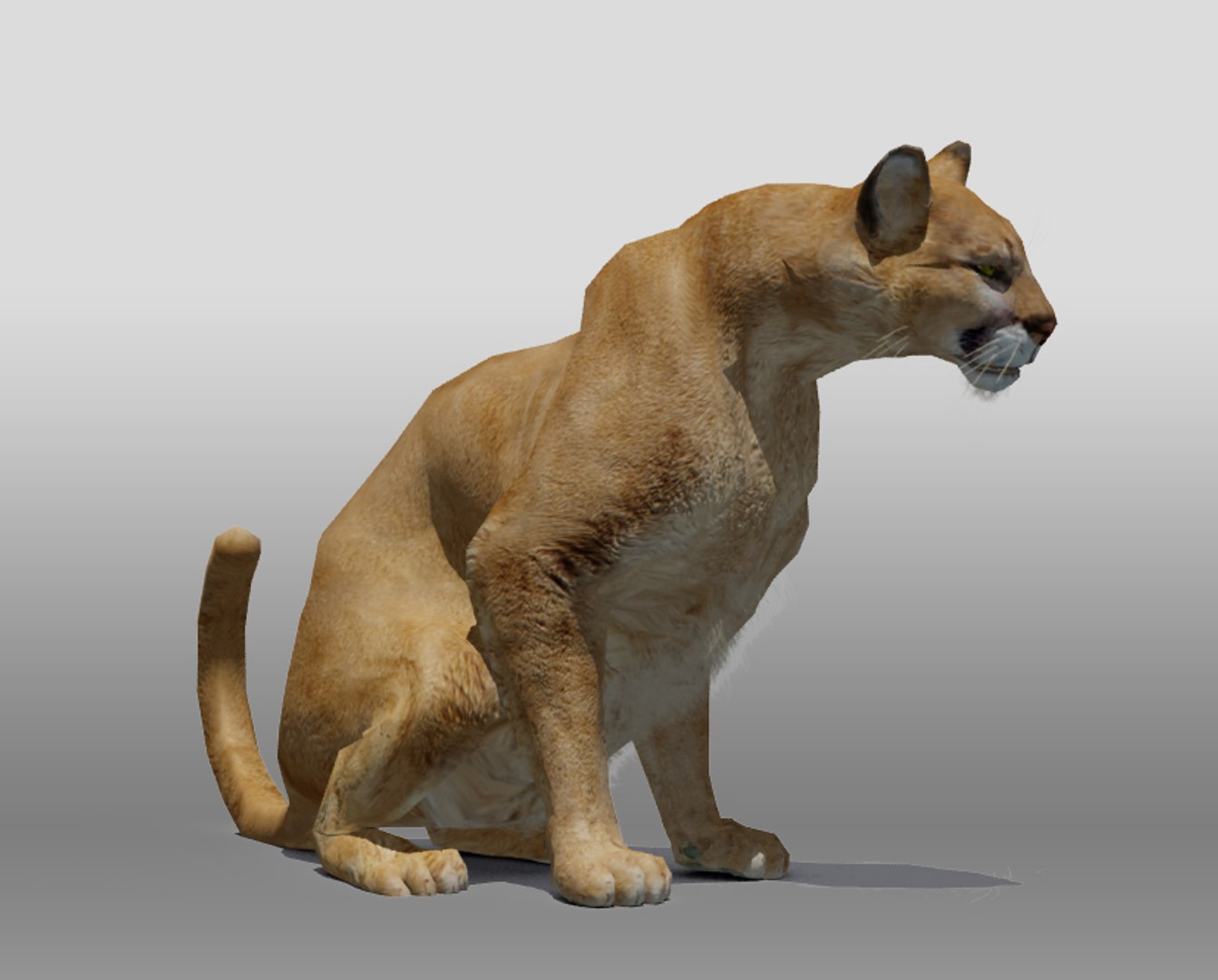 Mountain Lion Obj