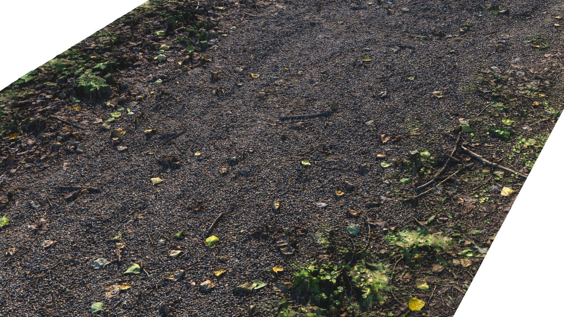 3D Autumn Trail 06 8 Meters - TurboSquid 2119090