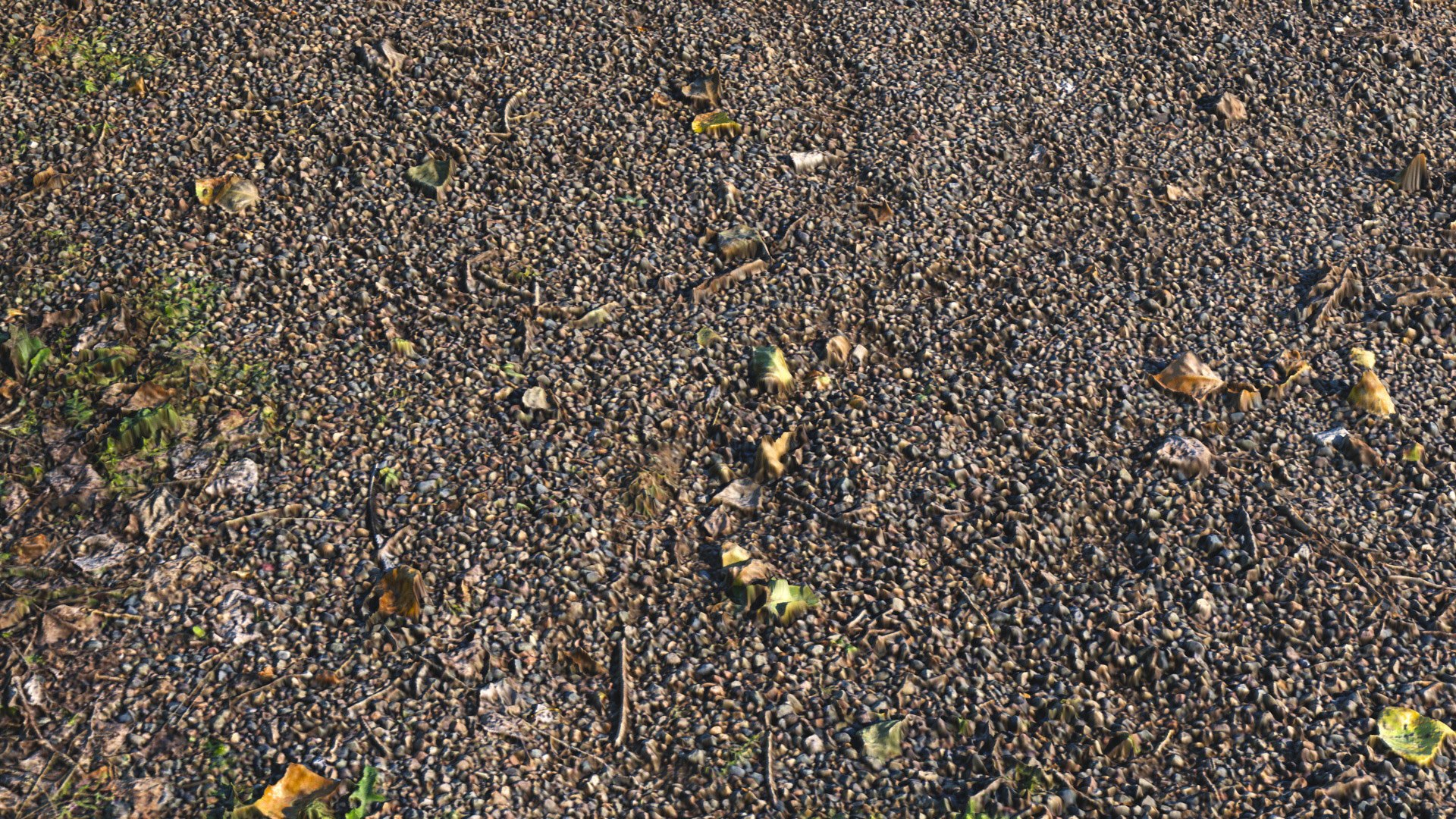 3D Autumn Trail 06 8 Meters - TurboSquid 2119090