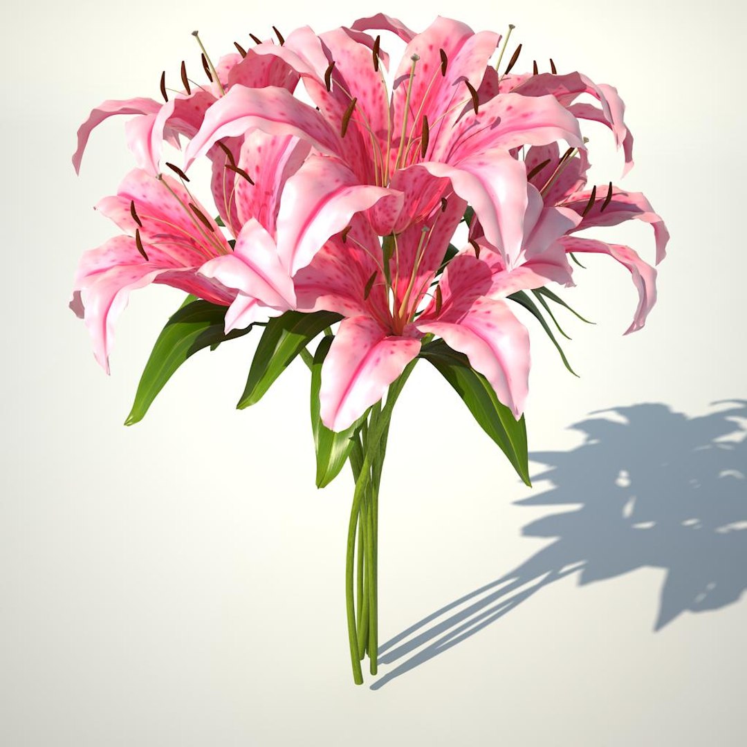 flowers pack 3d model