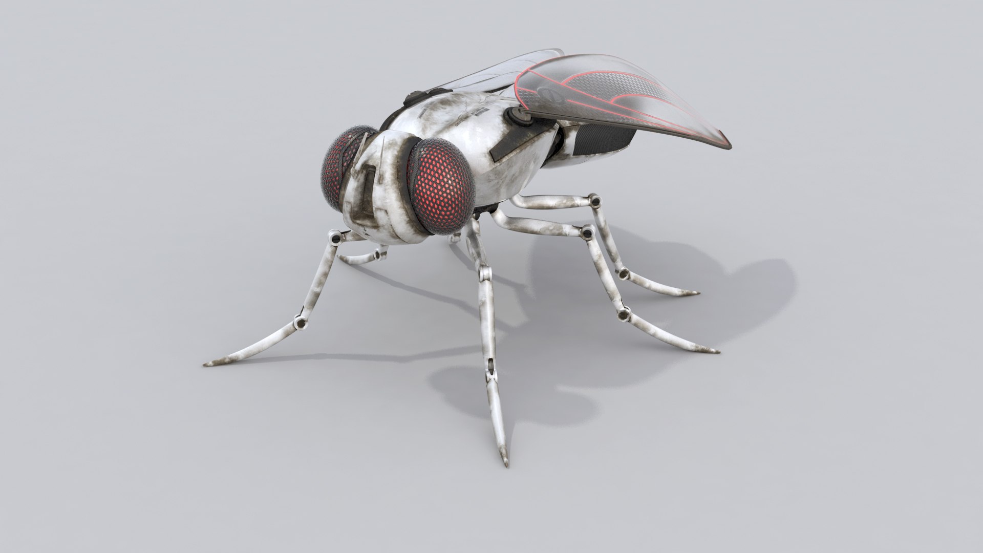 Robot Fly 3d Model