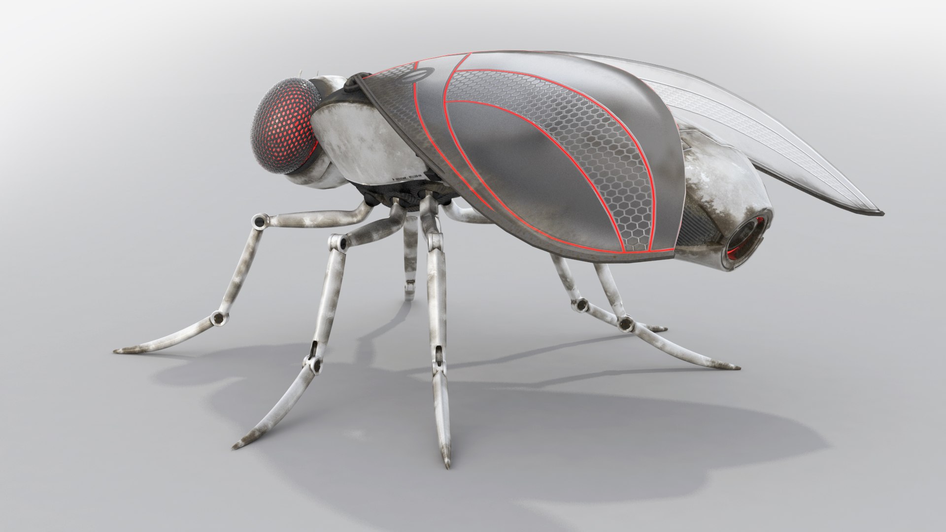 Robot Fly 3d Model