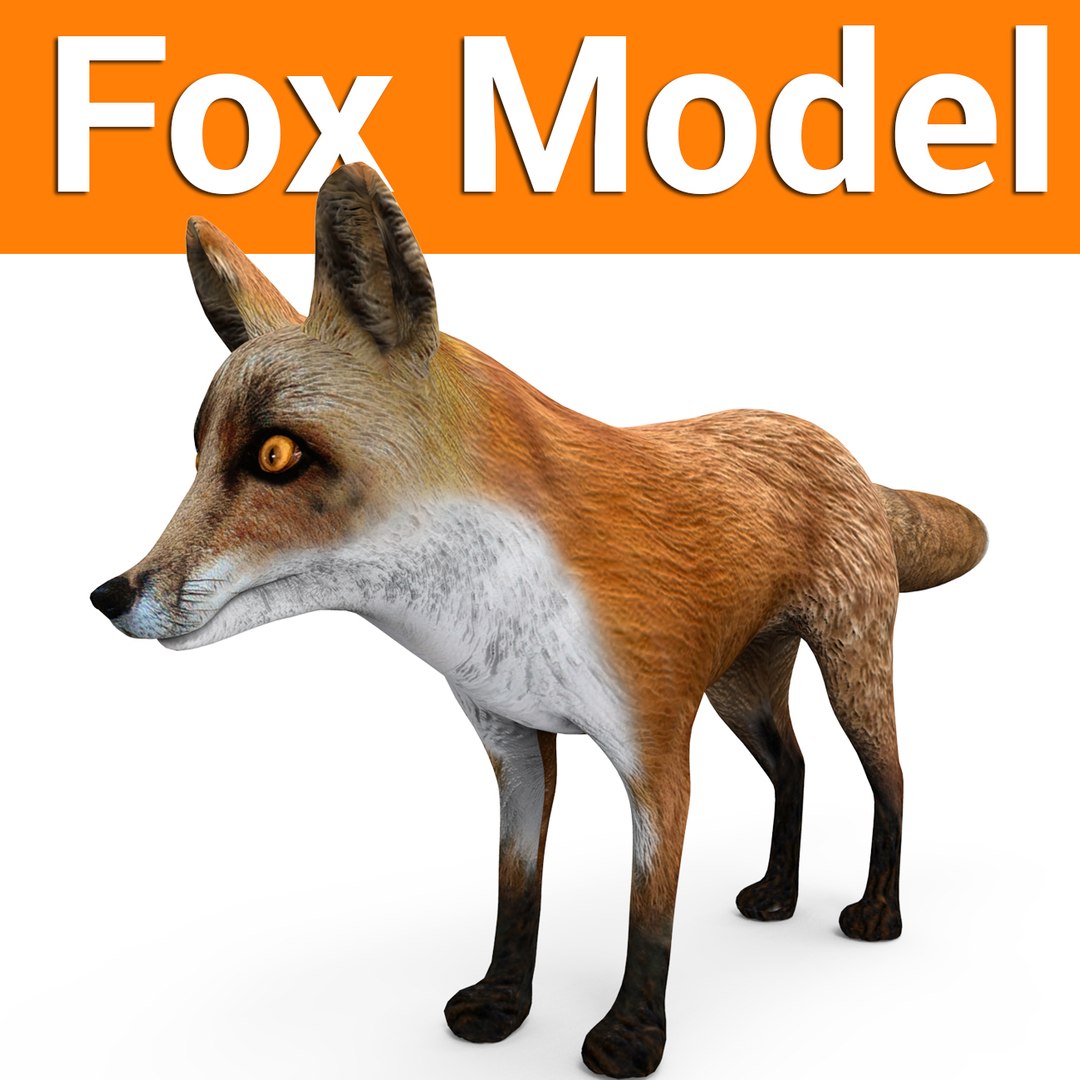 3D Fox Ready Model - TurboSquid 1205889