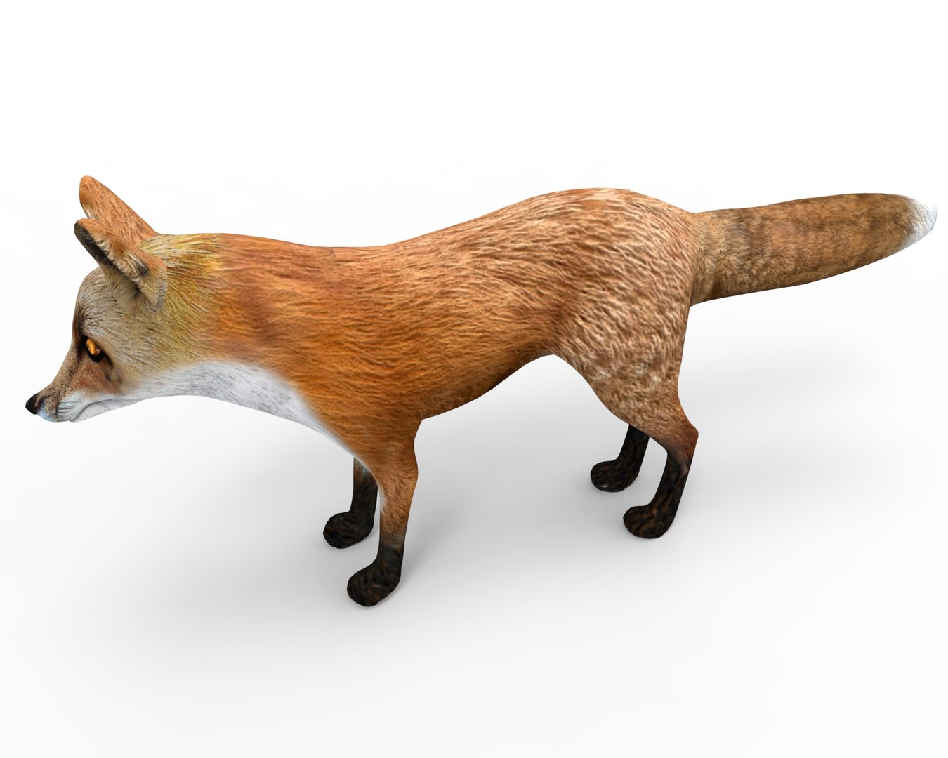 3D Fox Ready Model - TurboSquid 1205889