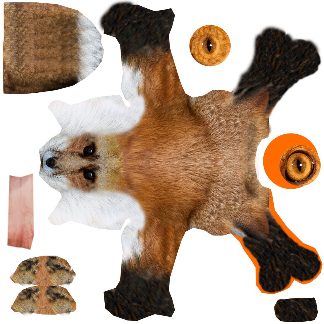 3D Fox Ready Model - TurboSquid 1205889