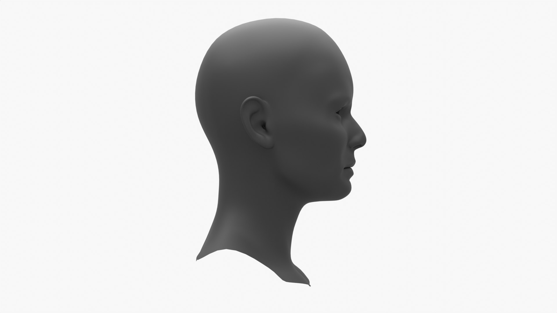 Free 3D Female Head Base - TurboSquid 2381316
