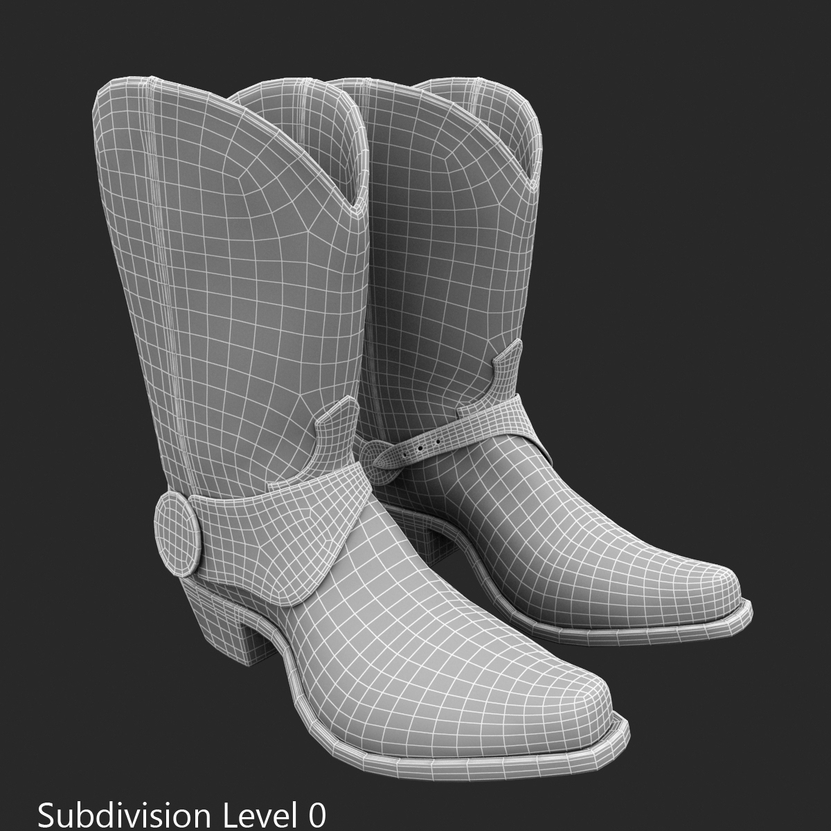 3d cowboy boots