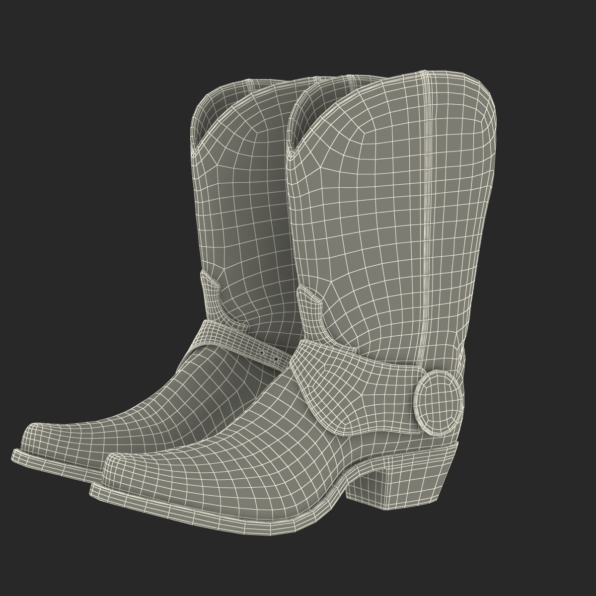3d cowboy boots