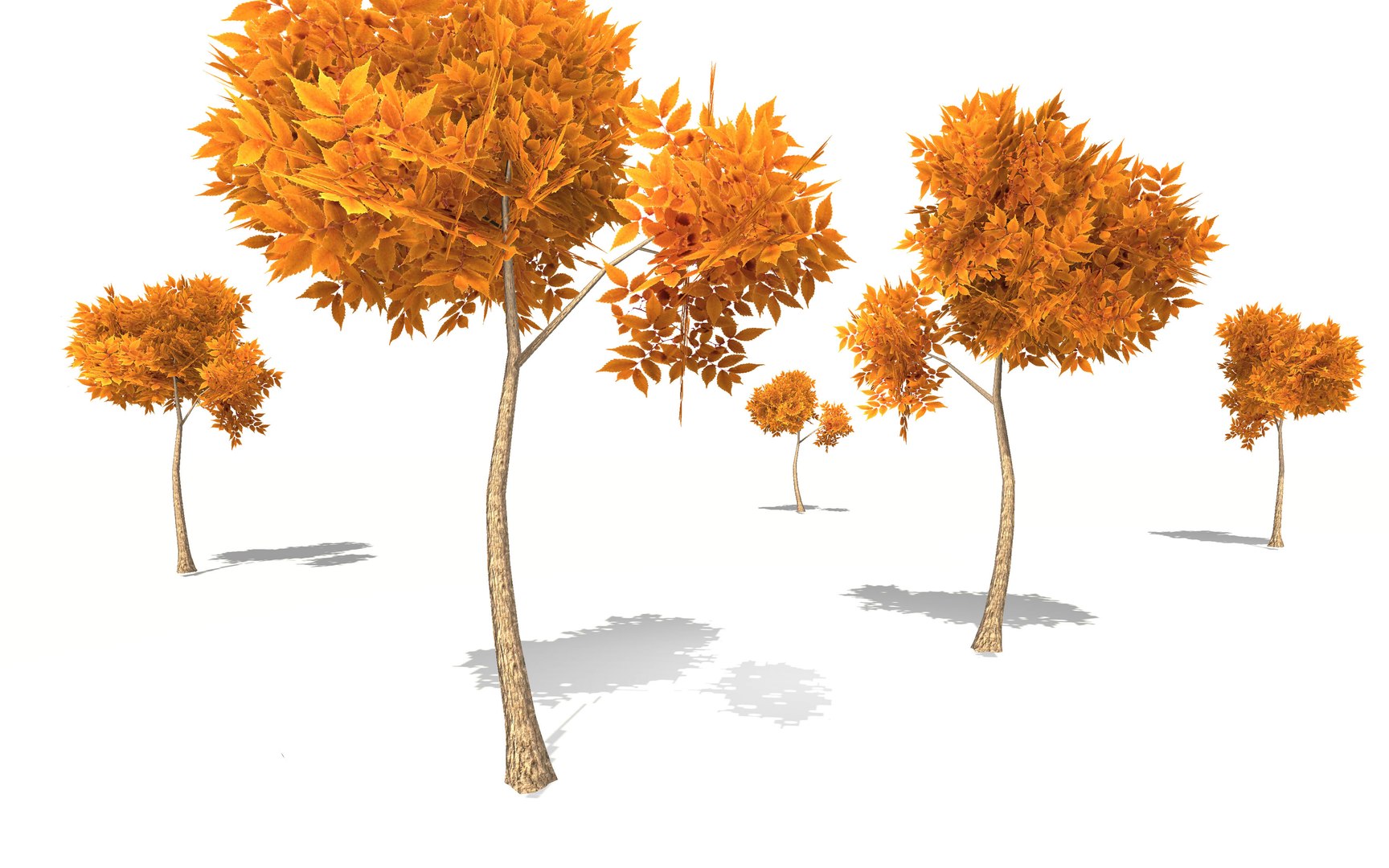3D Autumn Tree - TurboSquid 1517340
