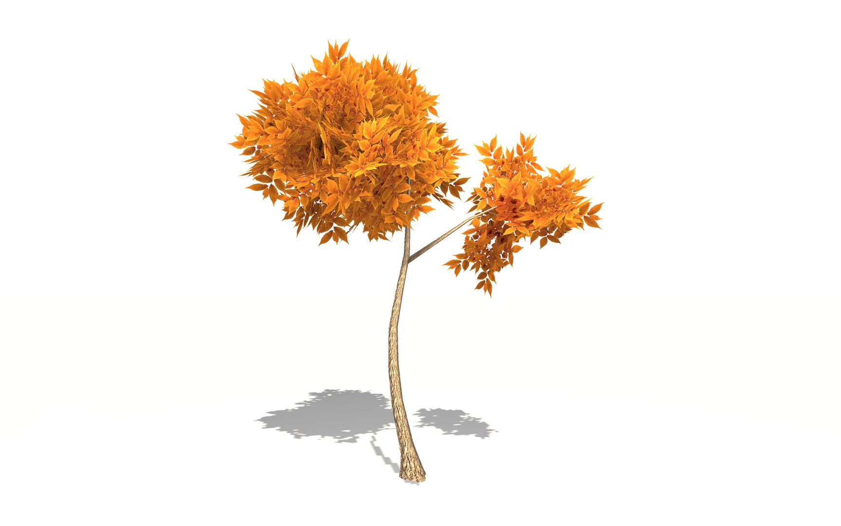 3D Autumn Tree - TurboSquid 1517340