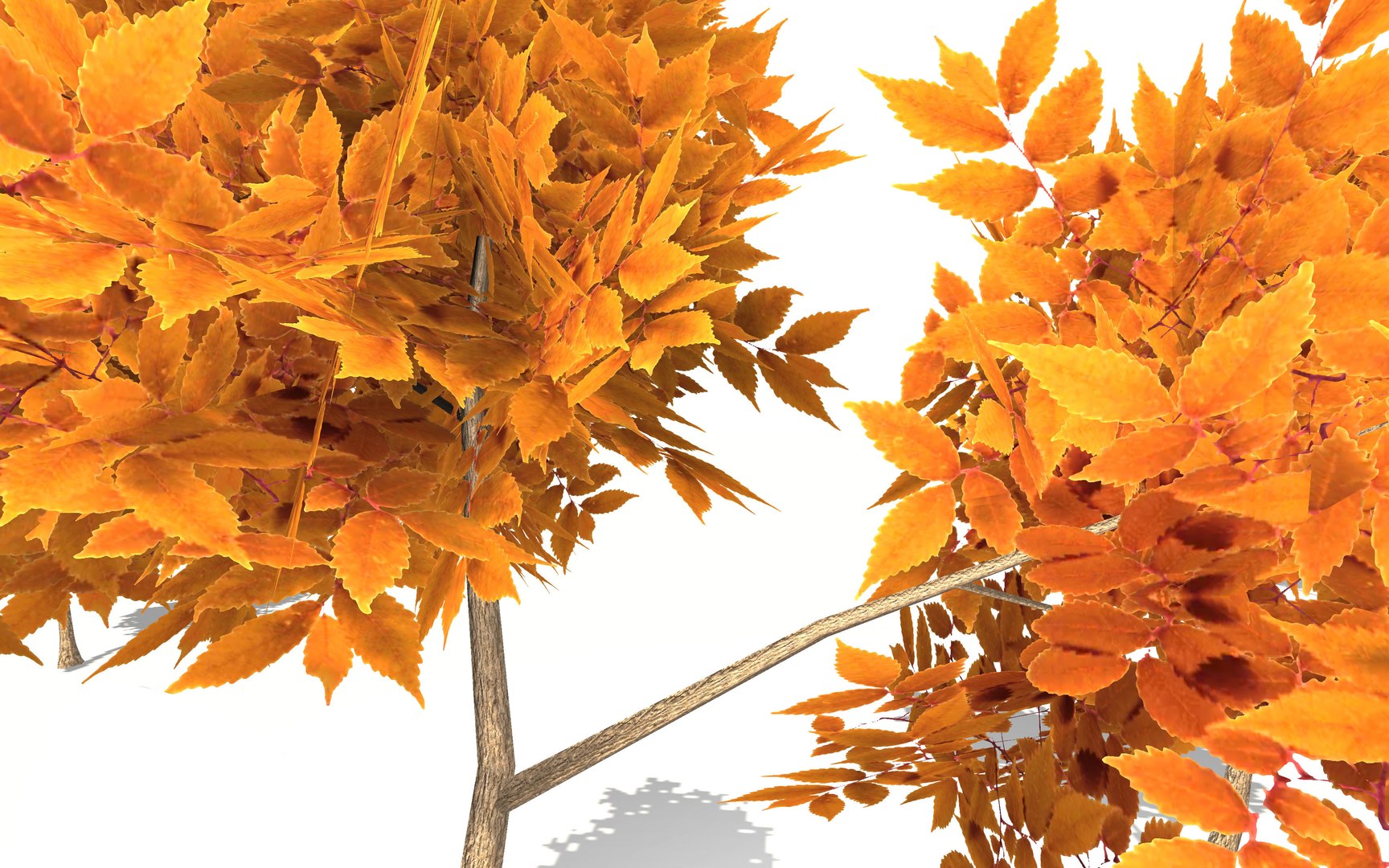 3D Autumn Tree - TurboSquid 1517340