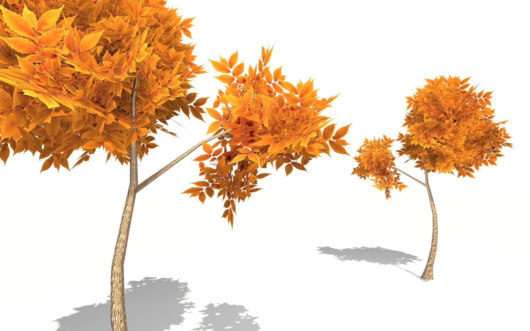 3D Autumn Tree - TurboSquid 1517340