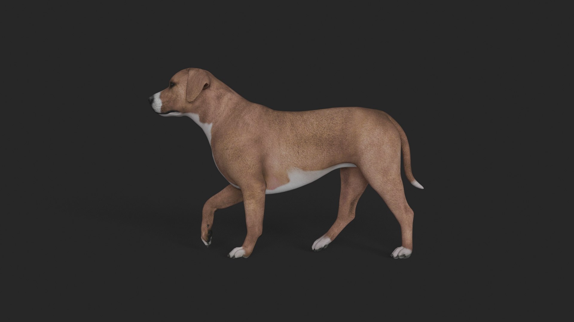LAB-011 Dog Walking 3D - TurboSquid 1913907