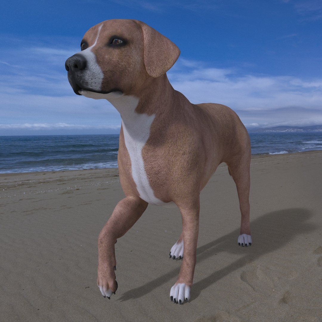 LAB-011 Dog Walking 3D - TurboSquid 1913907