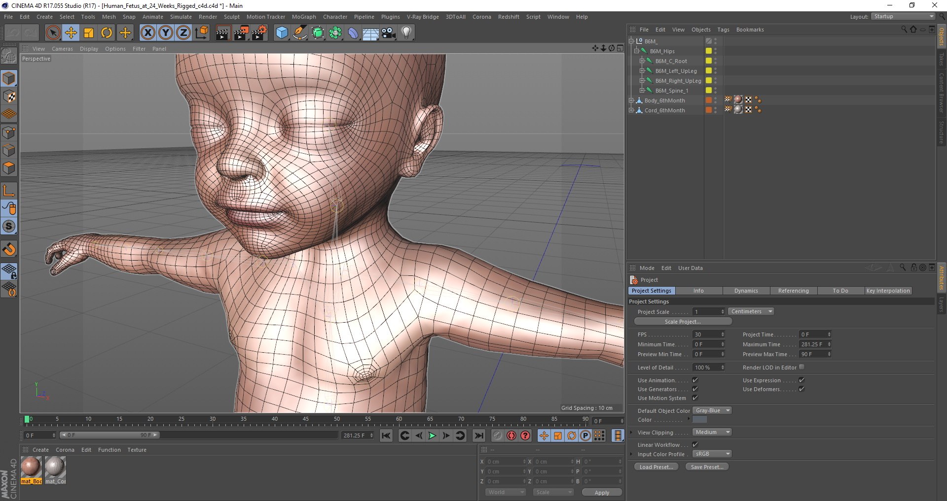 Human Fetus 24 Weeks Model - TurboSquid 1663050