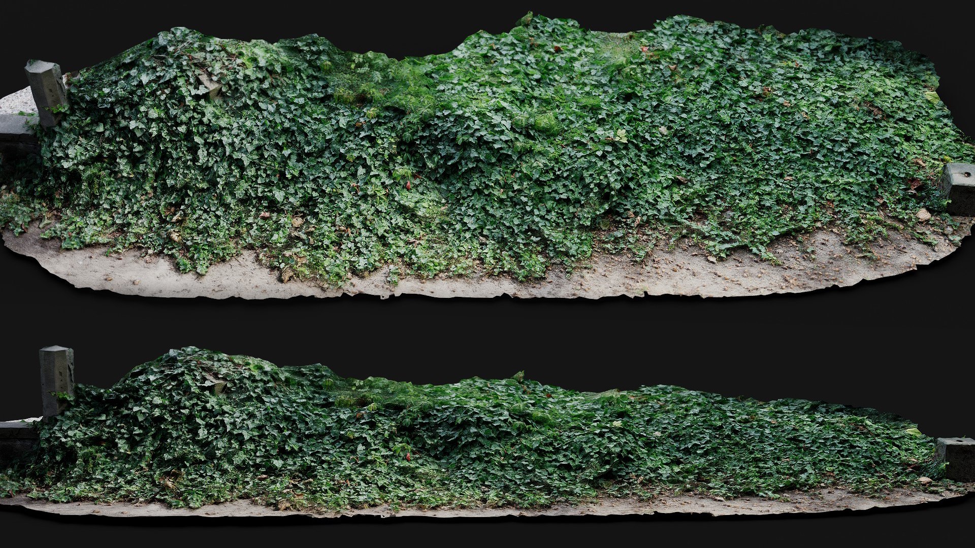 Ground Ivys Bushes Borderline Plants Photogrammetry 3D - TurboSquid 2339290