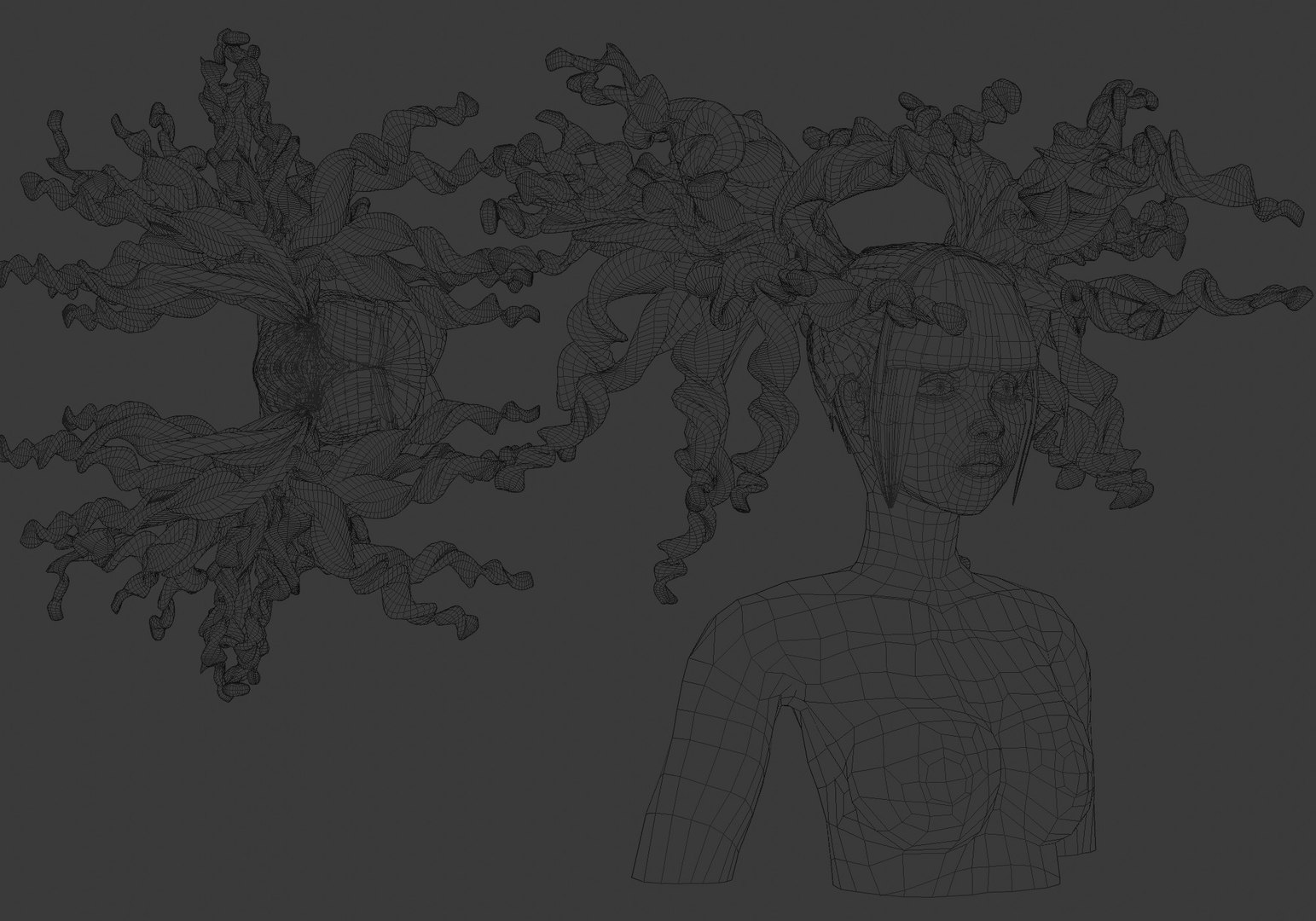 3d Big Crazy Hairstyle Turbosquid 1964709
