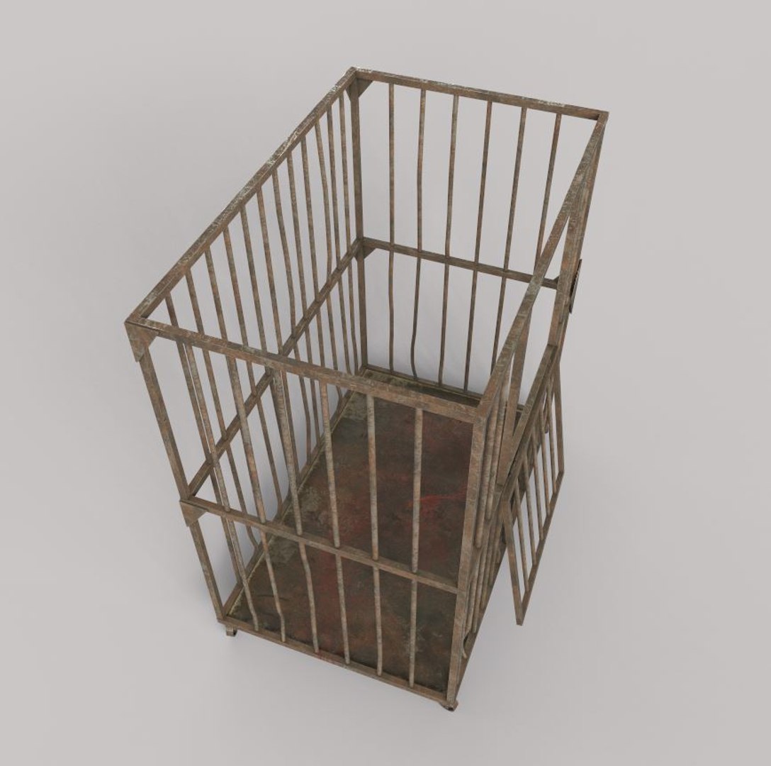 3D Asylum Cage Model - TurboSquid 1476001