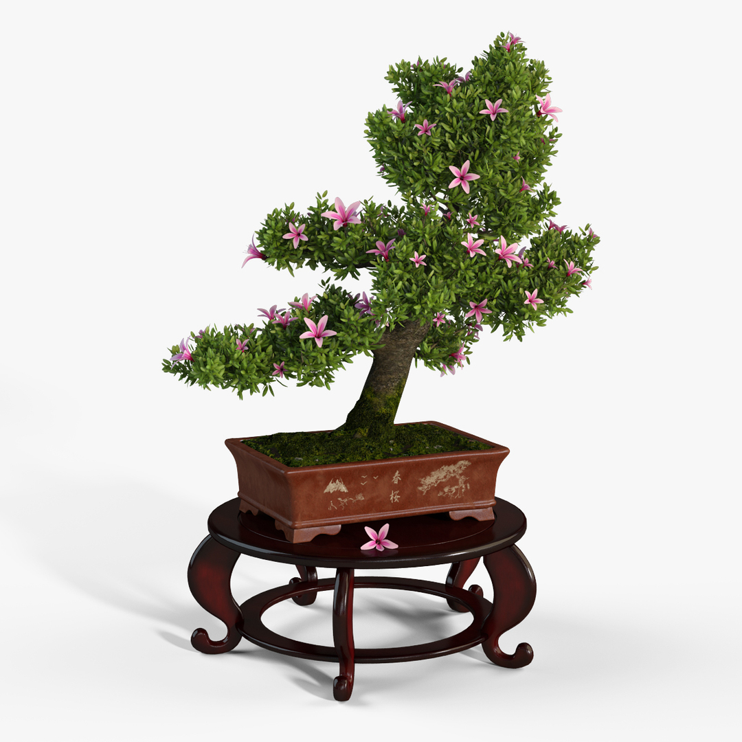3d bonsai tree