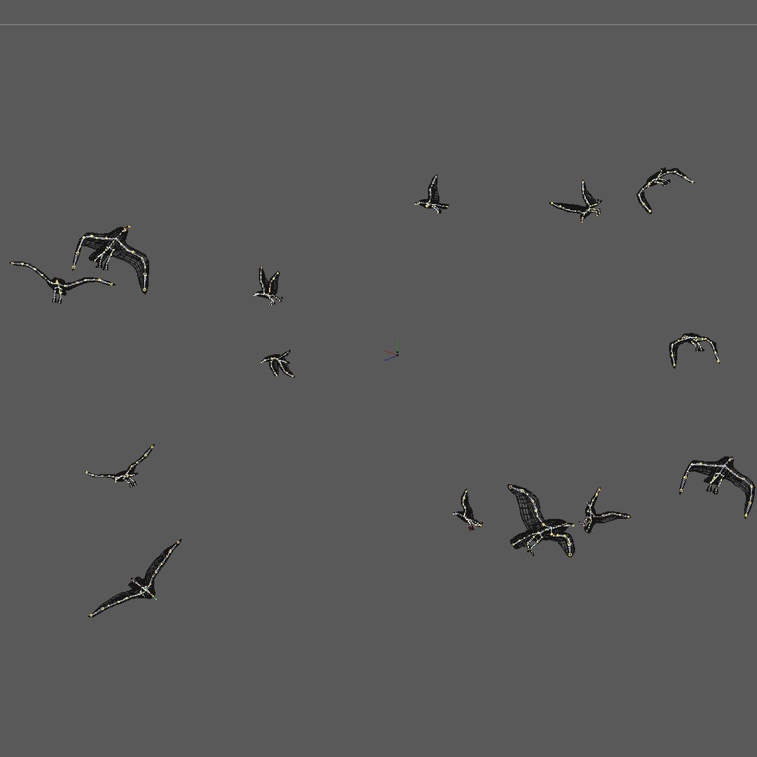 Group Flying Seagulls Animation 3d C4d