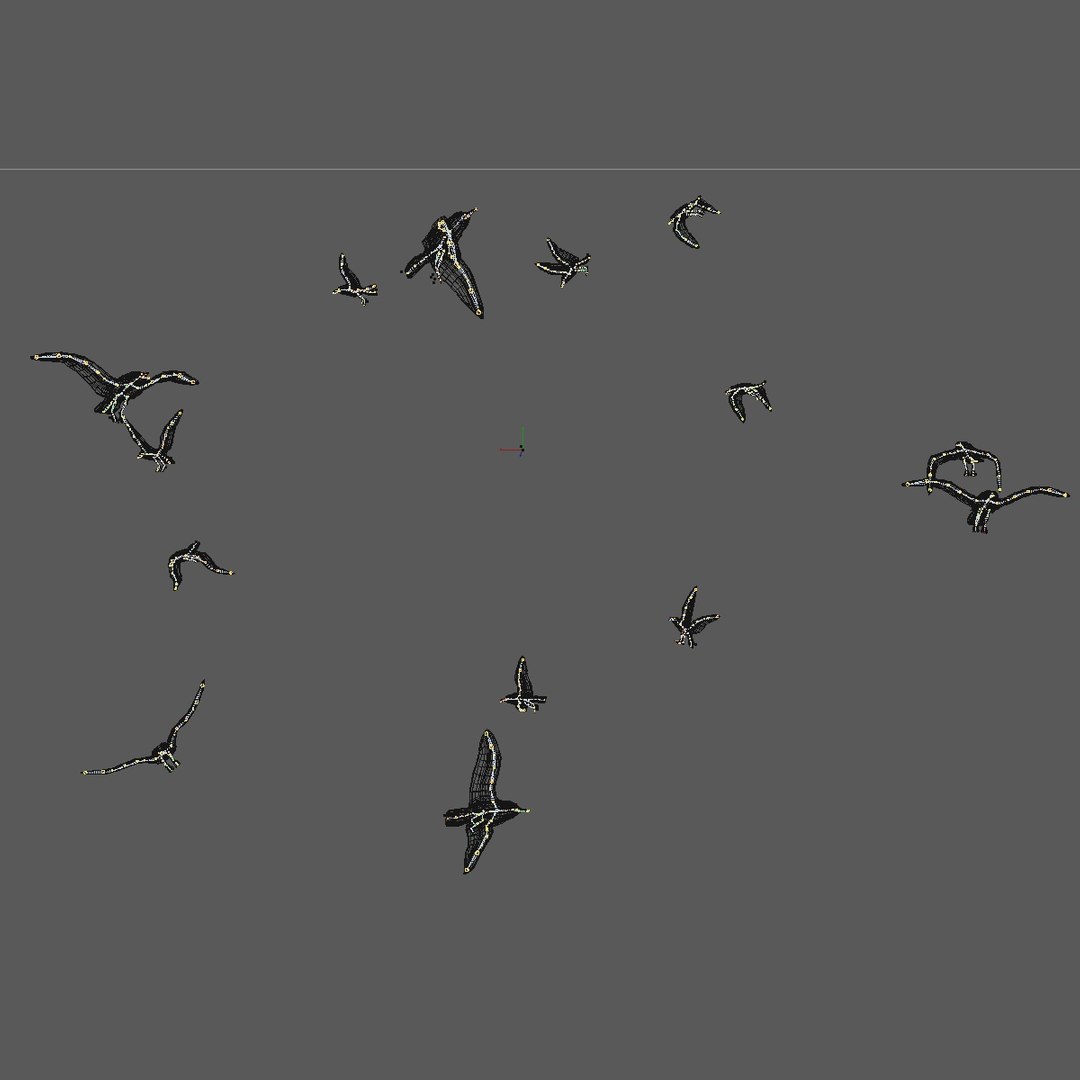 Group Flying Seagulls Animation 3d C4d