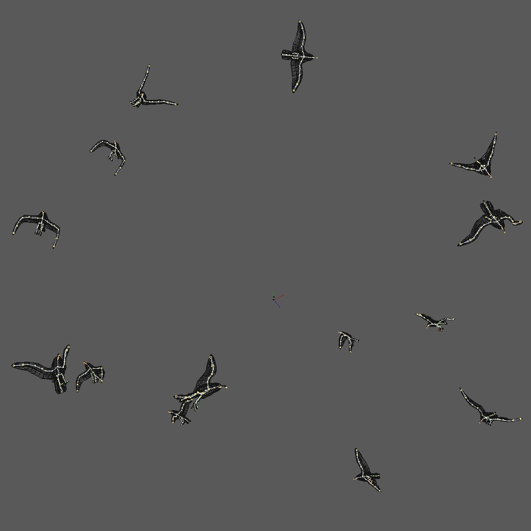 Group Flying Seagulls Animation 3d C4d