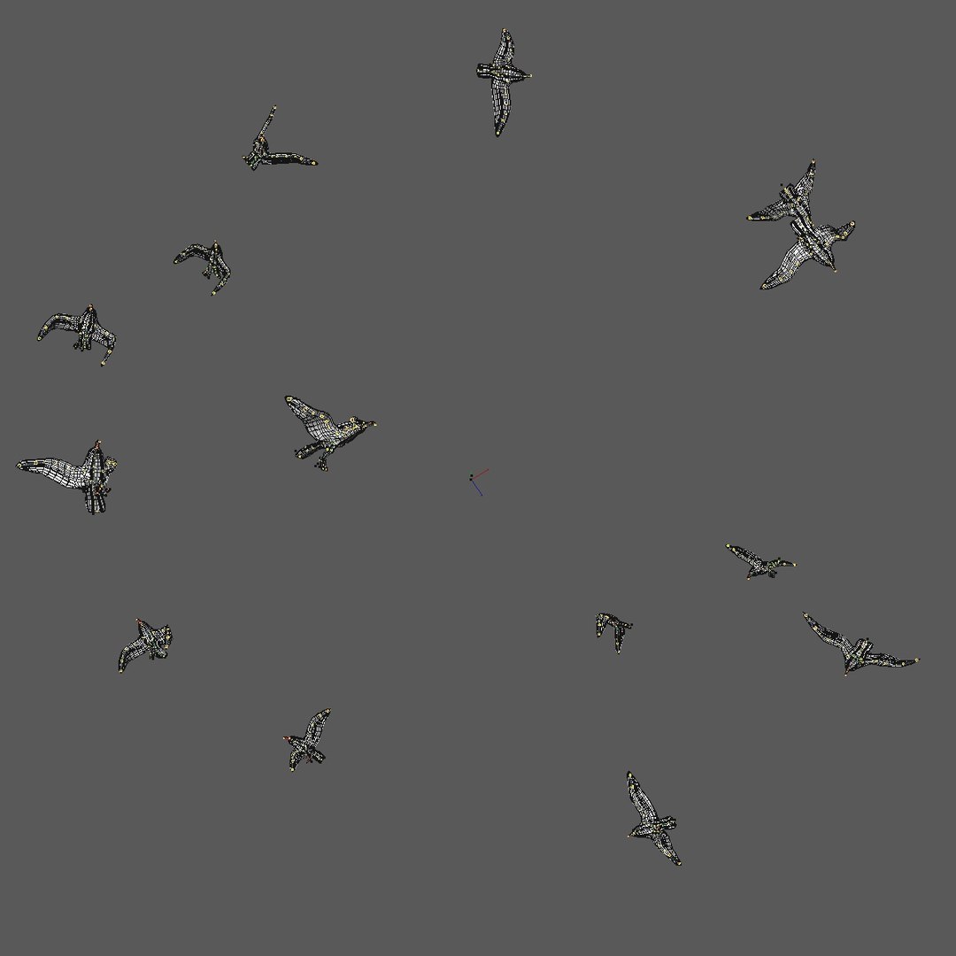 Group Flying Seagulls Animation 3d C4d