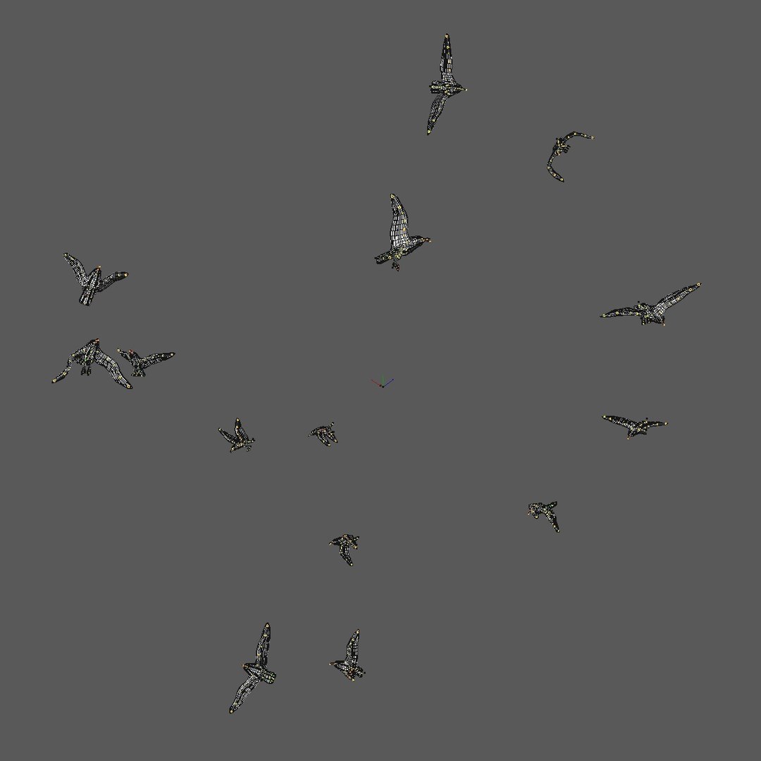 Group Flying Seagulls Animation 3d C4d