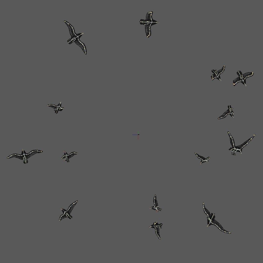 Group Flying Seagulls Animation 3d C4d