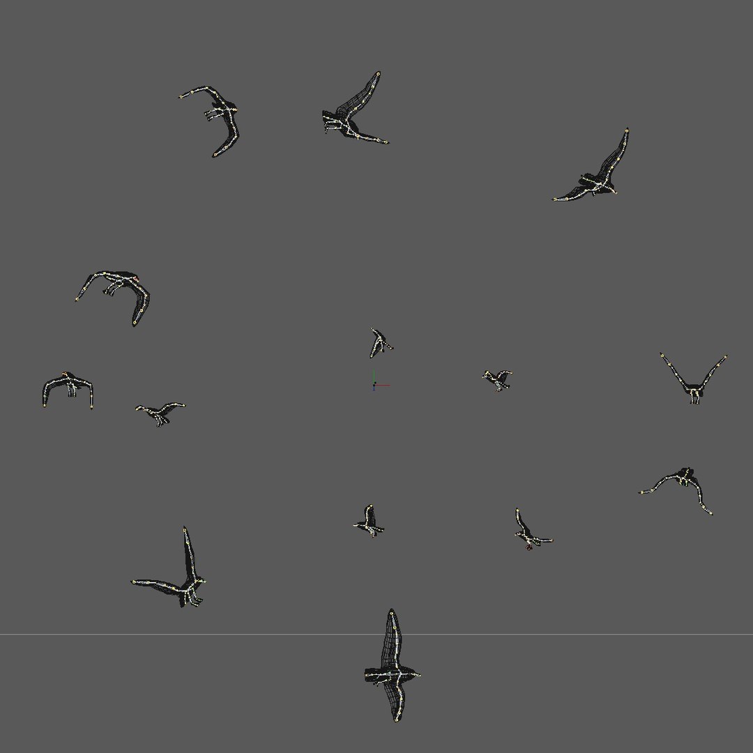 Group Flying Seagulls Animation 3d C4d