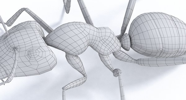 Realistic black ant real model - TurboSquid 1339012