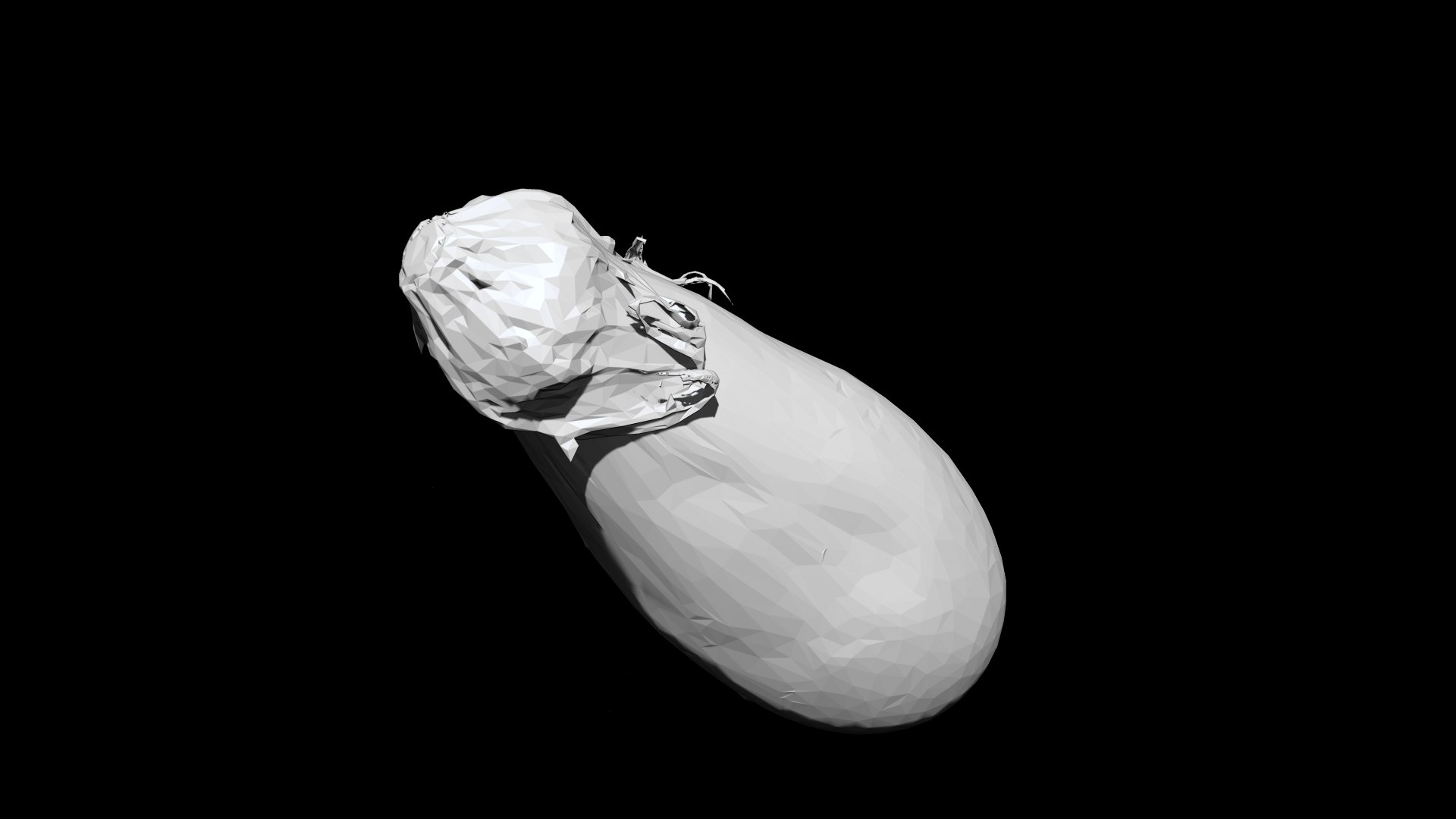 Eggplant 3D CT Scan Model Decimate 05 Percent 3D Model - TurboSquid 1933492